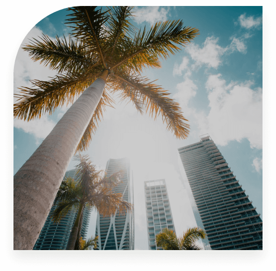 About Us - Elevated Agents